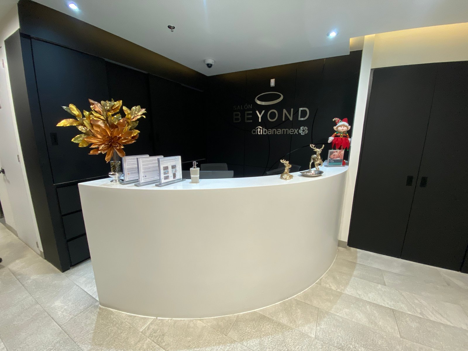 Salas VIP - Aeropuerto de Guadalajara